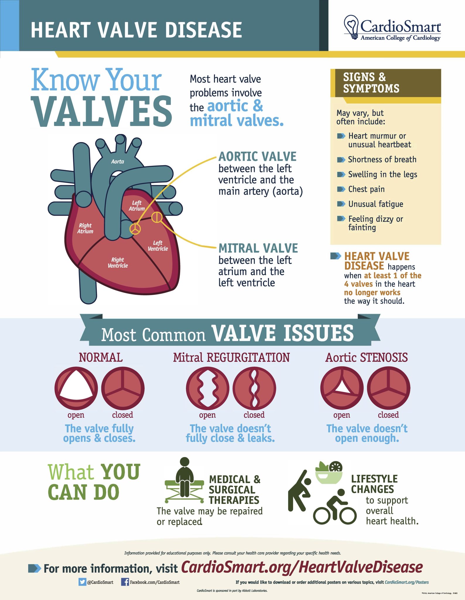 Chandler Cardiology Associates – Chandler Cardiology Associates